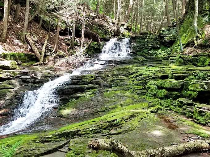 This waterfall looks like Mother Nature decided to show off, and honestly, we're not complaining about it.
