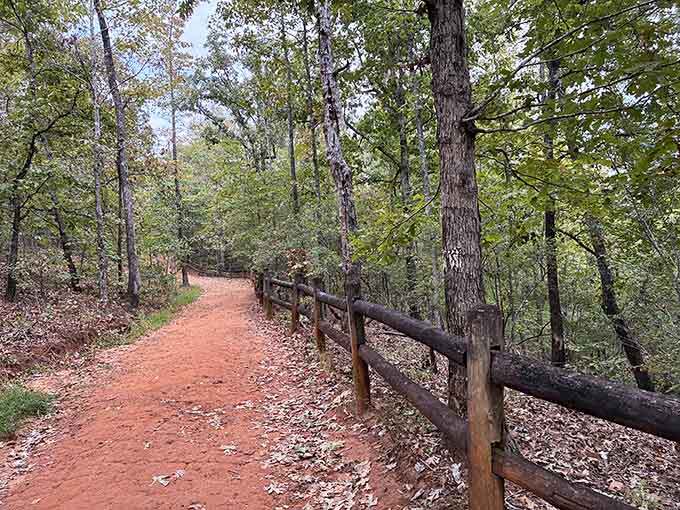 This peaceful trail through the woods is your gateway to one of Georgia's most colorful surprises just ahead.