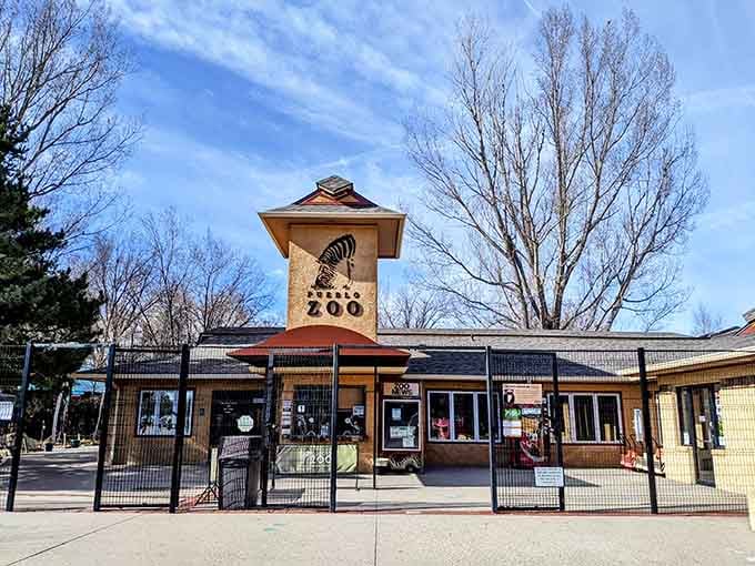 The Pueblo Zoo proves family fun doesn't need to cost more than your monthly utilities.