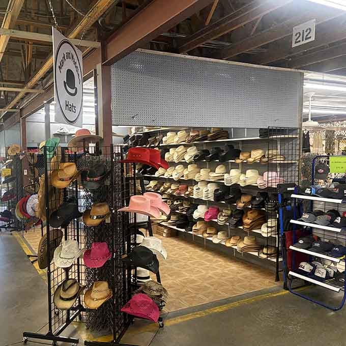 Every hat tells a story, from practical sun protection to "I'm making a statement" fashion choices for every personality.