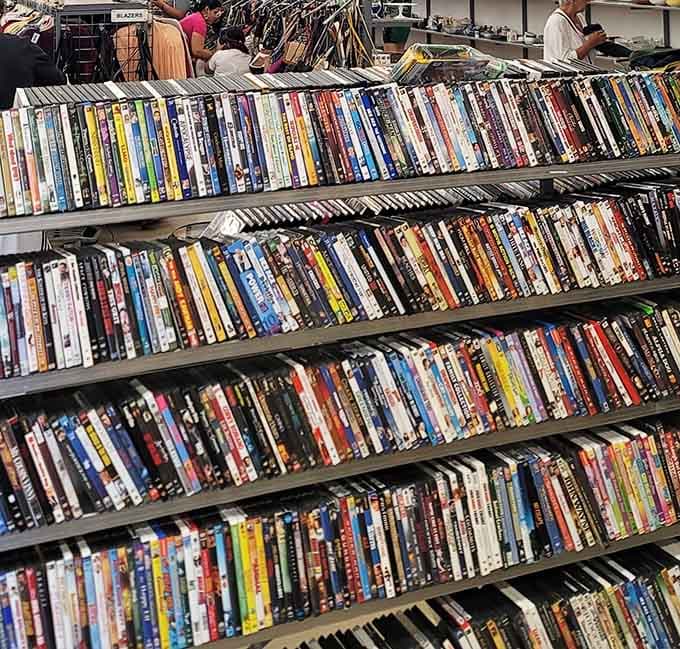 DVD collections that would make your local Blockbuster jealous, back when Blockbuster was still a thing.