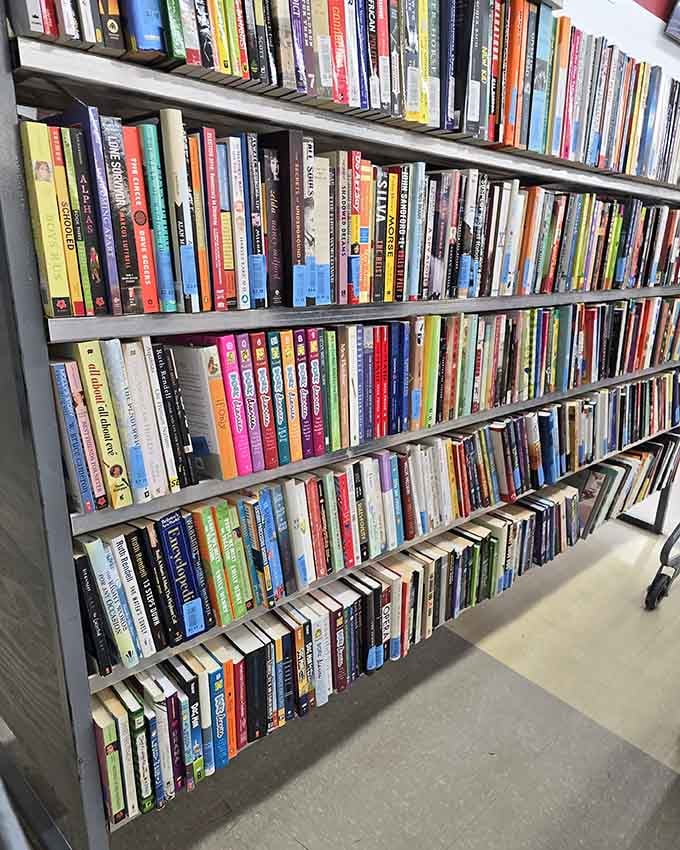 Book lovers, prepare yourselves: these shelves hold more stories than your grandmother's gossip circle at Sunday brunch.
