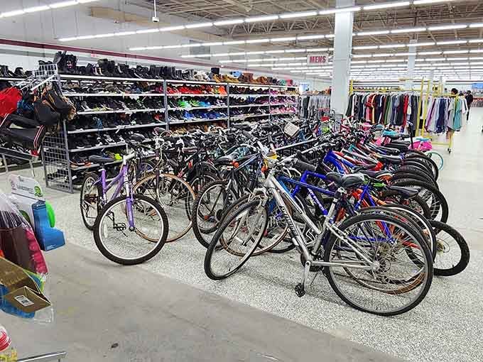 Bicycles lined up like eager students waiting for recess, ready to roll into their next adventure.