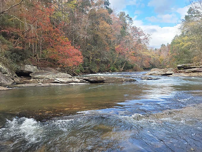 Fall transforms Riley Moore Falls into a postcard, with autumn colors framing the water like nature hired an interior designer.