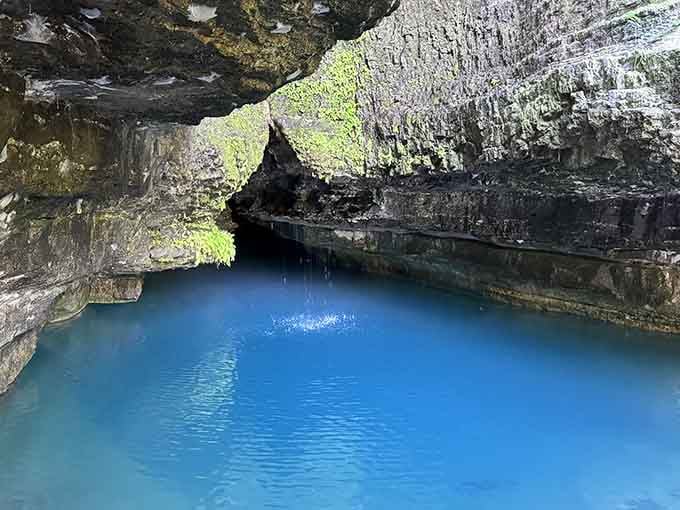 Standing at the spring's edge feels like discovering Narnia, except warmer and with significantly fewer talking lions around.
