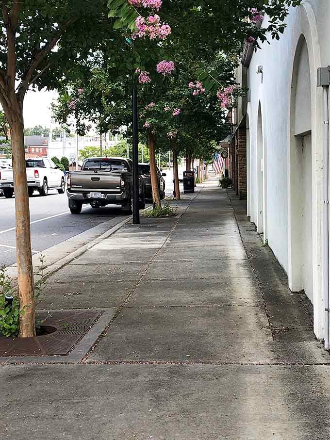 Tree-lined sidewalks and blooming crepe myrtles turn a simple stroll into something worth savoring slowly.