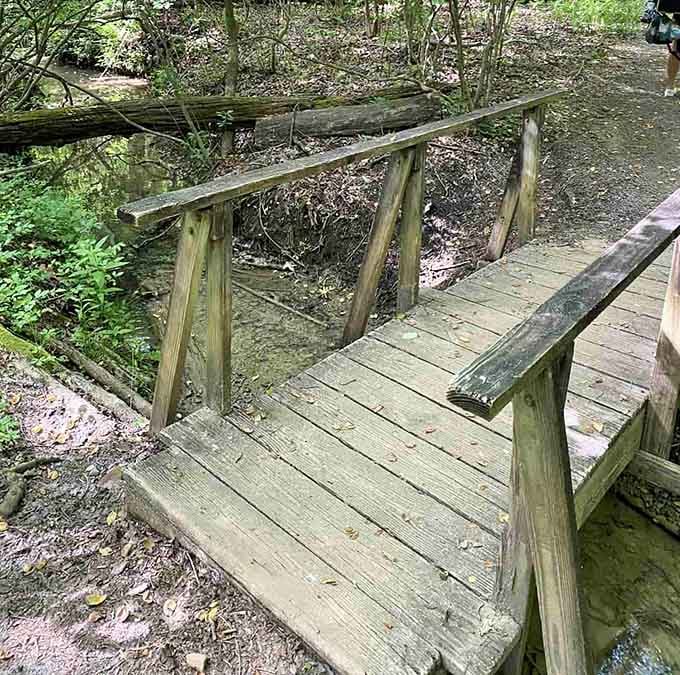 Even the bridges here understand that getting there is half the fun of any great adventure.