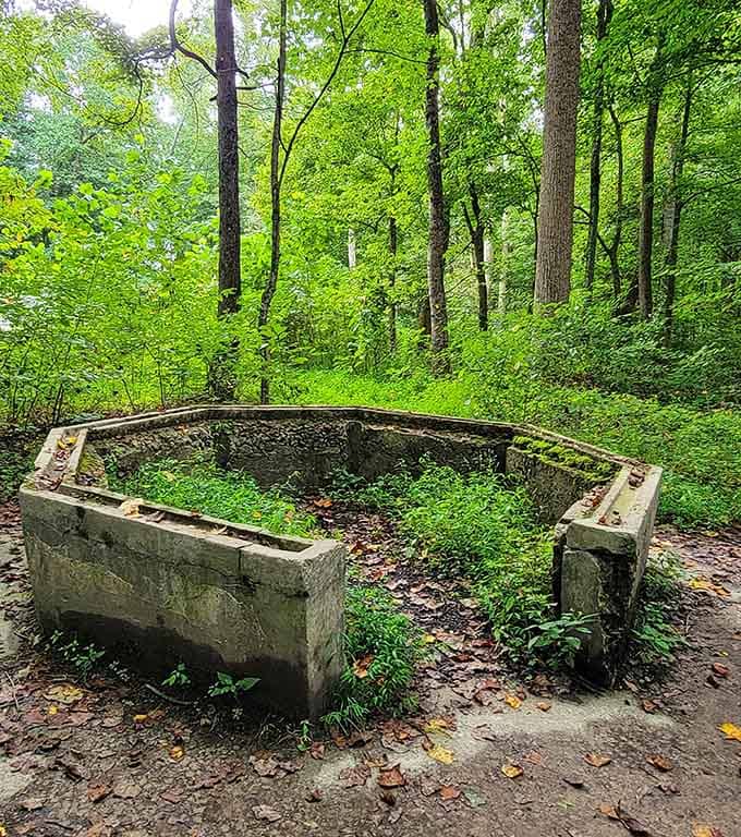 When concrete outlasts laughter, you get hauntingly beautiful reminders of summers spent splashing in simpler times.