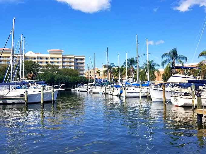 The marina proves that sometimes the best entertainment is watching boats gently rock while doing absolutely nothing yourself.