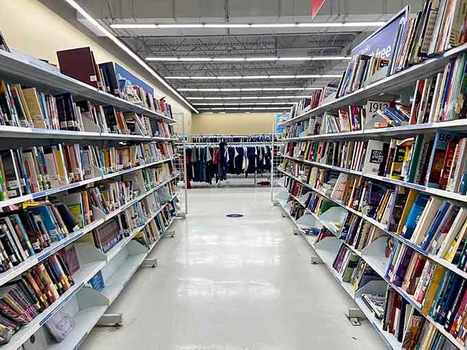 Books line the shelves like literary soldiers waiting to march home with their next reader.