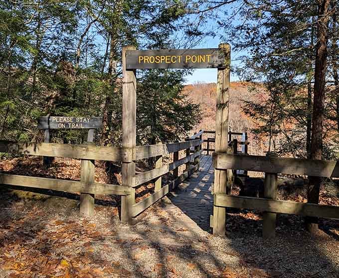 Prospect Point: where Indiana proves it can do dramatic views without needing mountains to brag about.