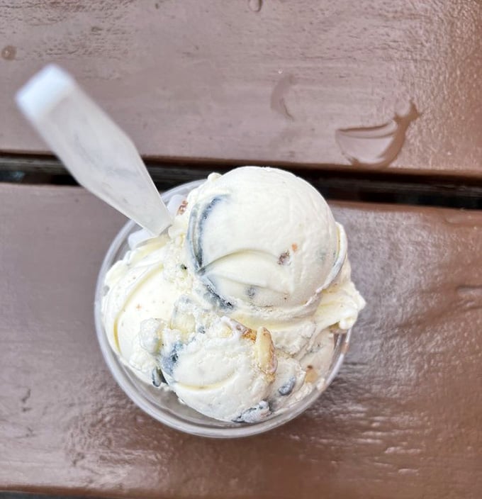 Blueberry cheesecake ice cream: proof that some desserts were destined to become other, even better desserts.