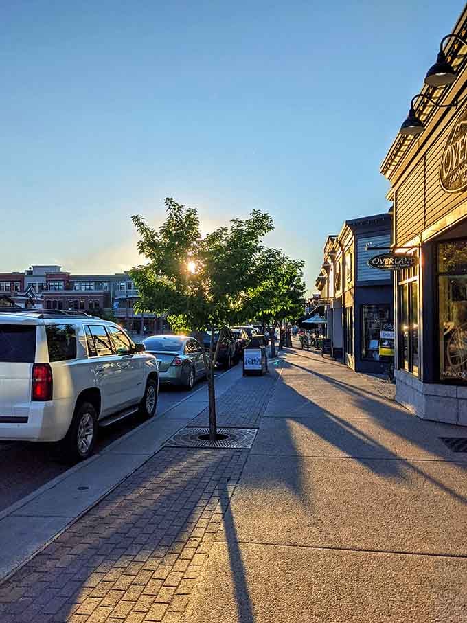 Golden hour on Lincoln Avenue proves that some streets are worth strolling slowly, preferably with ice cream.