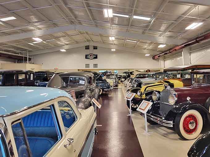 Rows of gleaming classics stretch before you like a timeline of American dreams on four wheels.