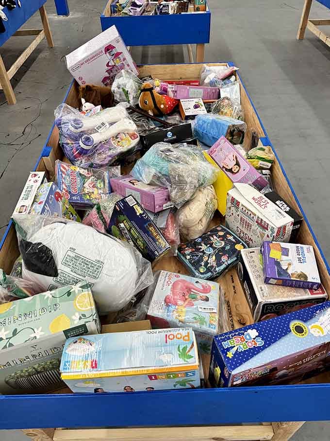 One person's overstock is another person's jackpot, especially when toys are practically giving themselves away.