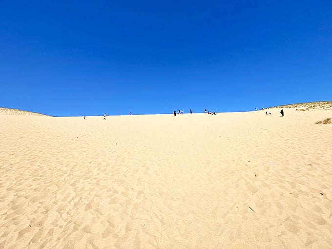 The dune sits there looking innocent, just waiting to humble your gym-toned confidence with pure sand.