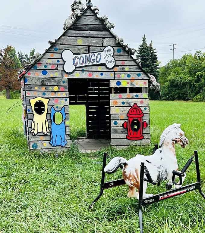 Congo's doghouse proves that even canine architecture can make profound statements about community and joy.
