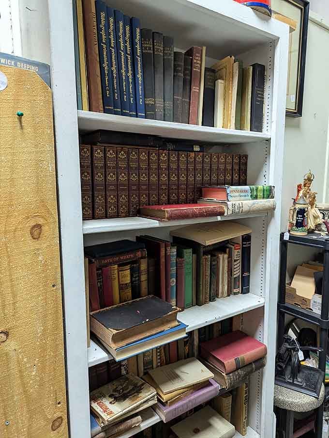 Leather-bound volumes that smell like history and look like they belong in a Victorian library's secret room.