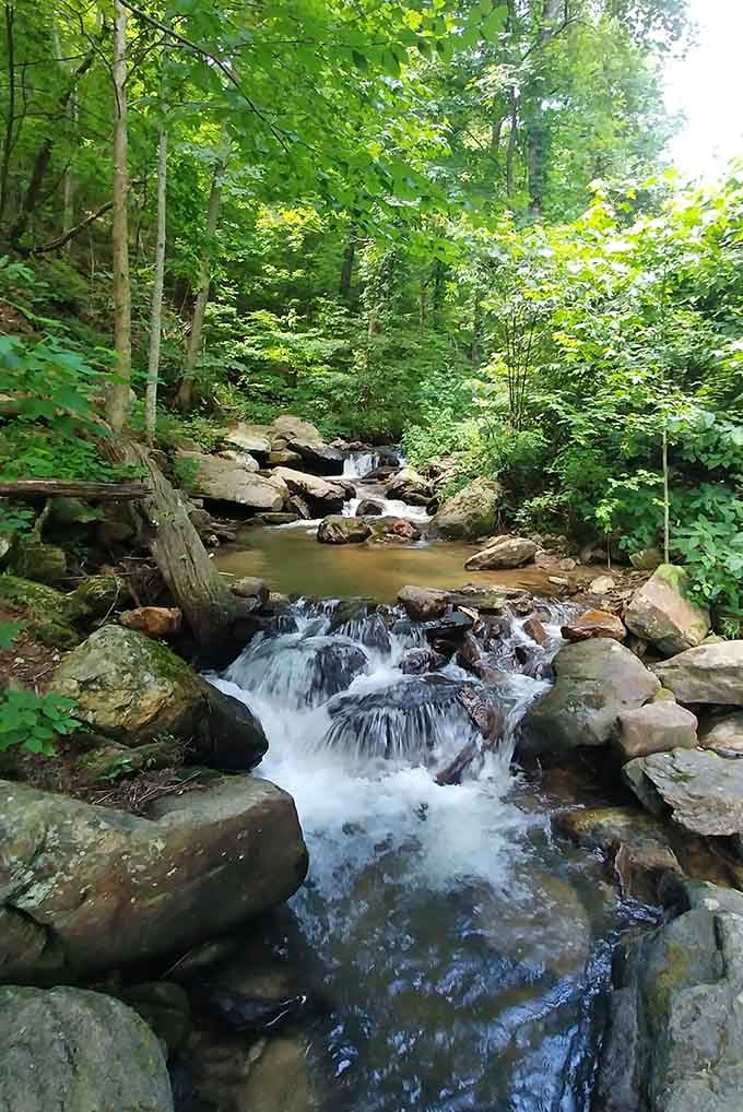 Toccoa Creek continues its journey downstream, creating a peaceful soundtrack that beats any meditation app.