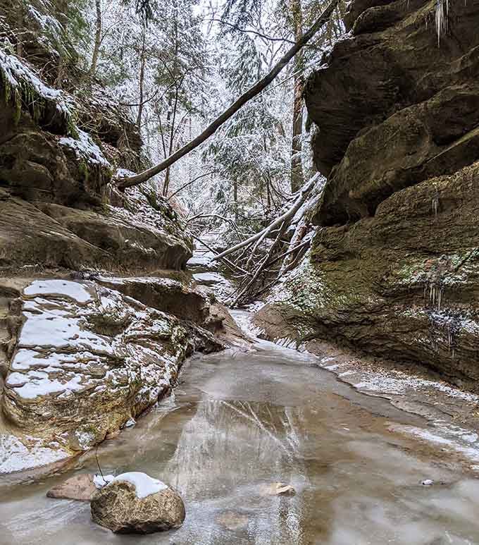 Winter transforms the canyon into Narnia, complete with icicle chandeliers hanging from prehistoric rock formations above.