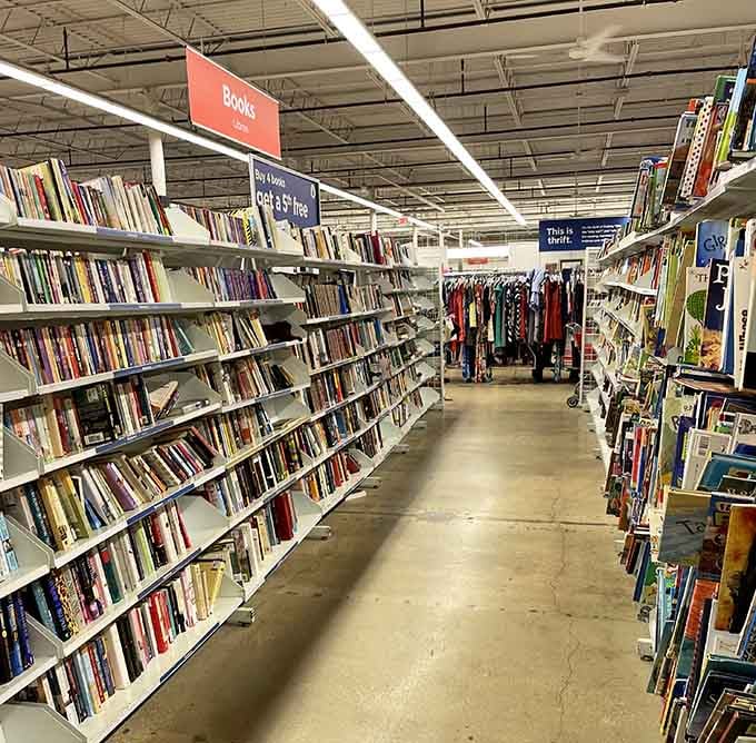 Book lovers, prepare to lose all sense of time in these aisles where literary treasures outnumber your available shelf space at home.