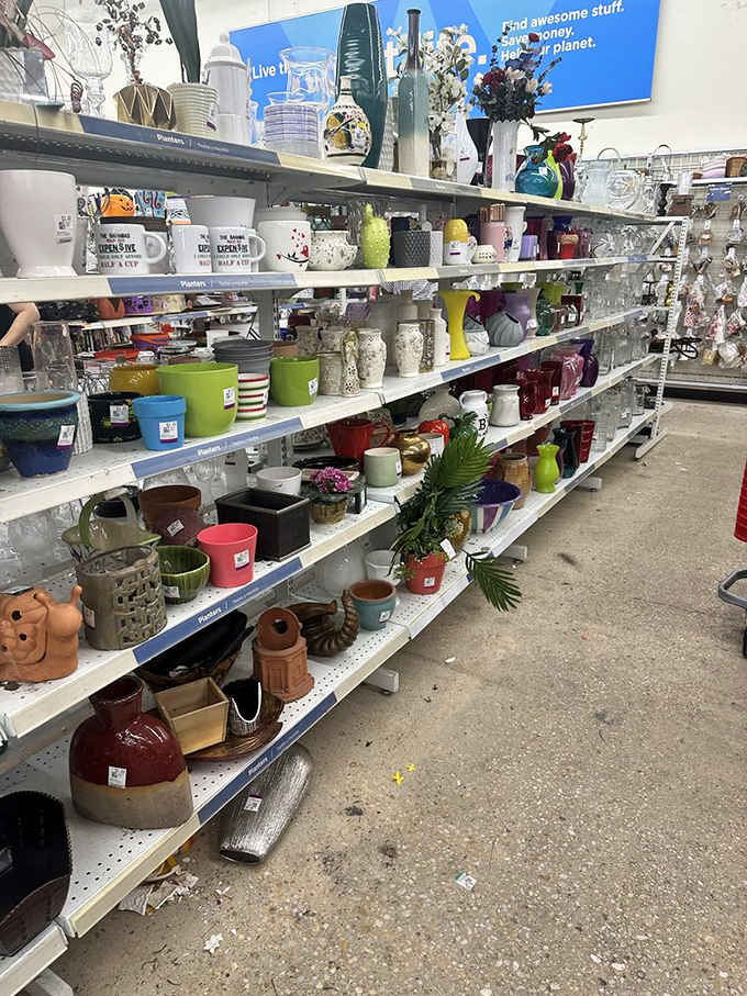 From quirky mugs to practical planters, this shelf holds more possibilities than your kitchen has counter space.