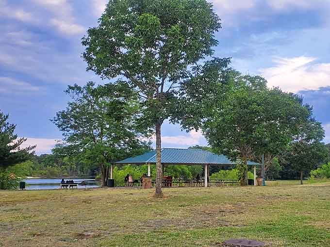 South Vineland Park: where pavilions provide shade and your bank account isn't crying from recreation fees.