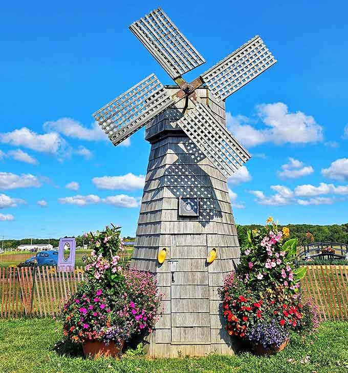 This windmill proves that Long Island can do Dutch charm without requiring a transatlantic flight or passport.