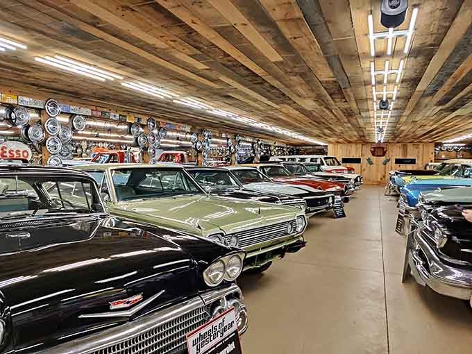 Row after row of automotive perfection stretching into the distance, each one shinier than your future.