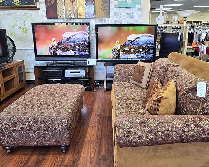 Those aren't showroom displays, they're actual thrift store finds waiting to transform your living room on a budget.