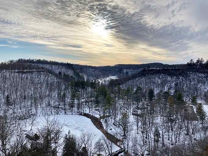 Winter transforms the valley into a snow-globe scene that makes you almost forgive Minnesota for having winter.
