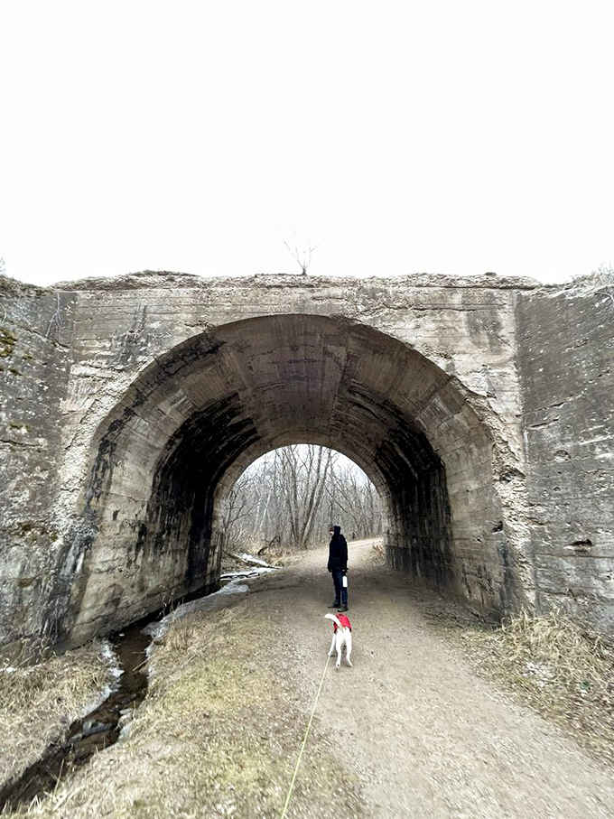 This historic railroad tunnel now serves as your portal to adventure, complete with curious canine trail companion.