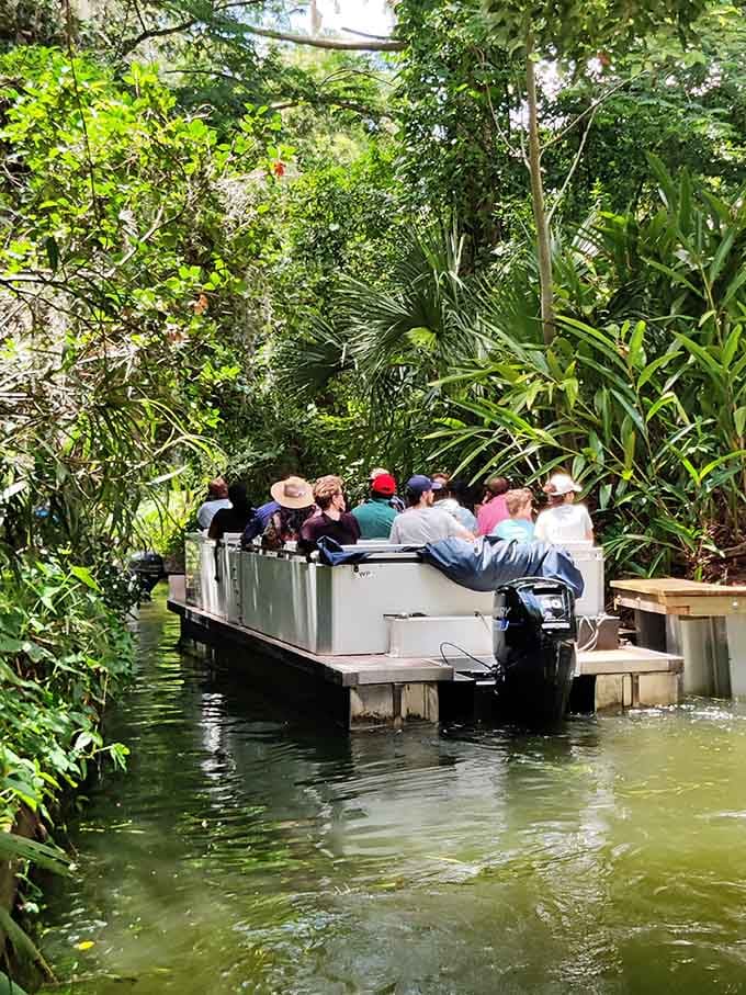 Sometimes the best seat in Florida doesn't recline, it just floats peacefully through botanical paradise.