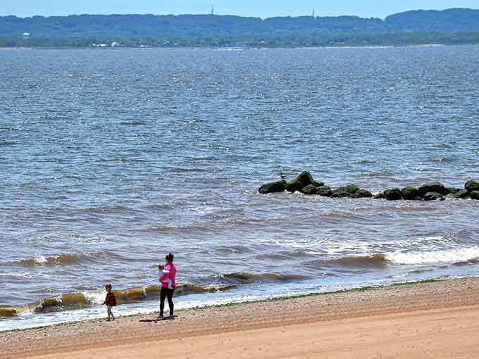 This is what happens when a beach remembers its job is relaxation, not hosting a population density competition.
