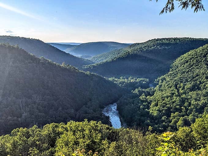 Morning mist settling into the canyon creates layers of blue that would make any landscape painter weep with envy.
