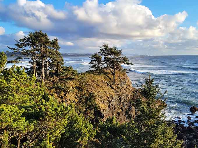 Wind-sculpted trees cling to dramatic cliffs where the Pacific puts on its daily show of power and beauty.