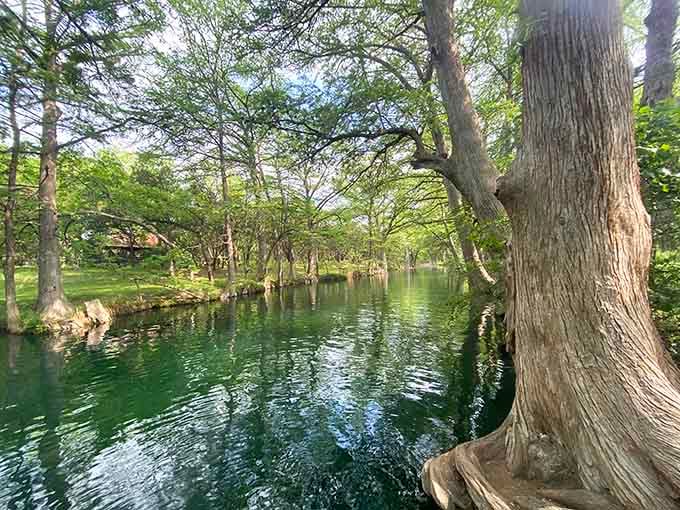 Ancient cypress trees stand guard over crystal-clear waters, their reflections creating a mirror image of pure tranquility.