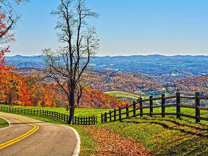 Fall colors explode across these rolling hills while that fence line dips and rises like a wooden roller coaster.