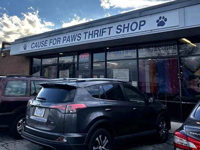 Those adorable paw prints flanking the sign tell you exactly what your bargain hunting supports here.