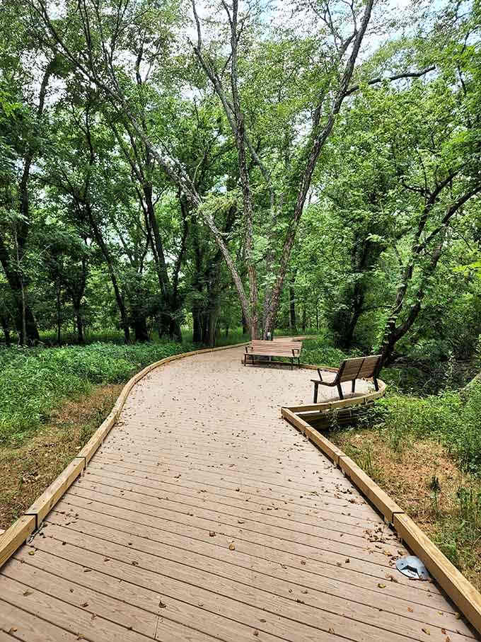 This peaceful boardwalk winds through wetlands where herons fish and turtles sunbathe like they're on permanent vacation.