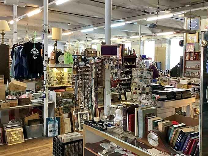 Indoor treasure hunting at its finest, where vintage glassware mingles with books and mysterious collectibles galore.