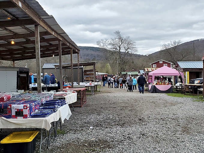 Mountains frame this gravel lot where pink tents and wooden tables create a bargain hunter's paradise under cloudy skies.