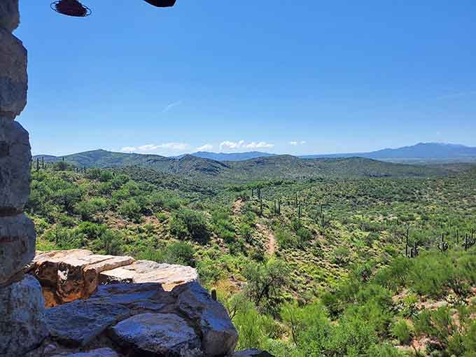 From this rocky perch, endless waves of green saguaros stretch toward distant peaks like a living ocean.