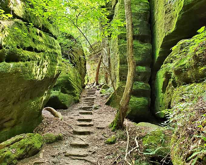 Emerald moss blankets every surface in this enchanted canyon, like Mother Nature went wild with green paint.