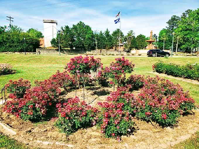 These vibrant rose blooms create a stunning circular garden that looks like nature's own colorful pinwheel design.
