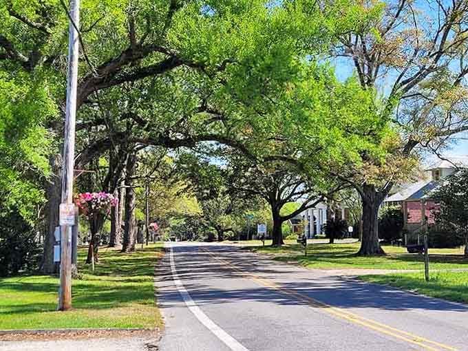 Ancient oaks create a natural cathedral over this peaceful street where time moves at Sunday afternoon speed.