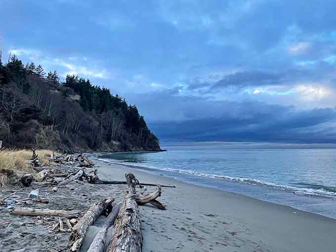Dramatic driftwood sculptures line the shore beneath towering cliffs. Mother Nature's gallery is always open and admission-free.