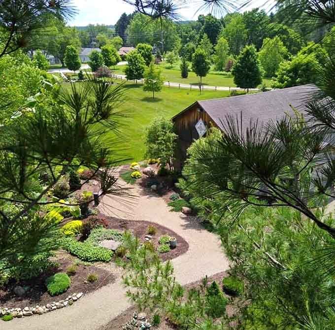 Winding garden paths framed by exotic plants create a peaceful escape that feels worlds away.