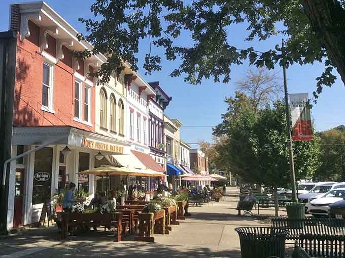 Outdoor dining under mature trees transforms an ordinary lunch into a leisurely European-style afternoon worth savoring completely.