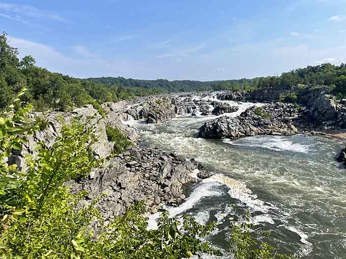 The Potomac transforms into a thundering beast here, proving calm rivers have wild sides worth discovering.